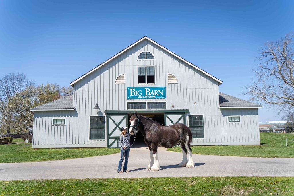 Big Barn & Trolley Tour - Kentucky Horse Park