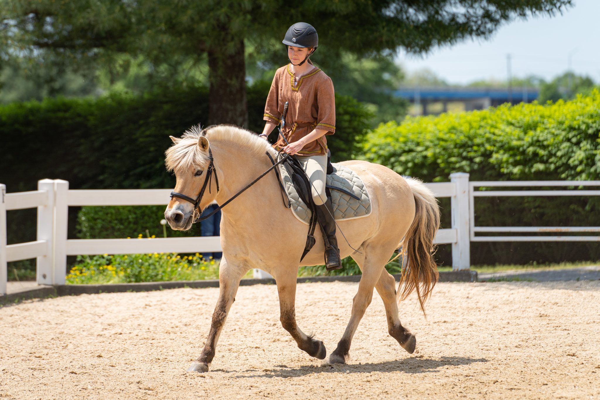 Breeds Barn - Kentucky Horse Park