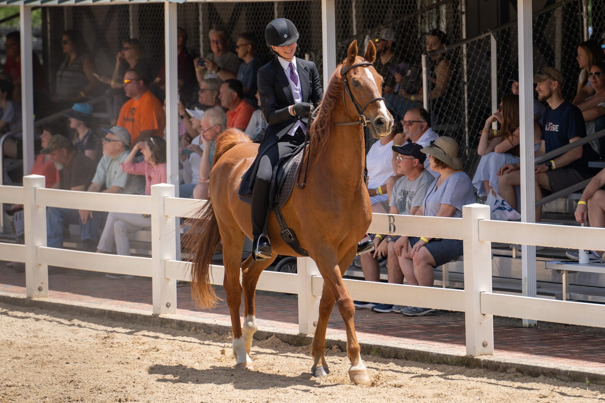 Breeds Barn - Kentucky Horse Park