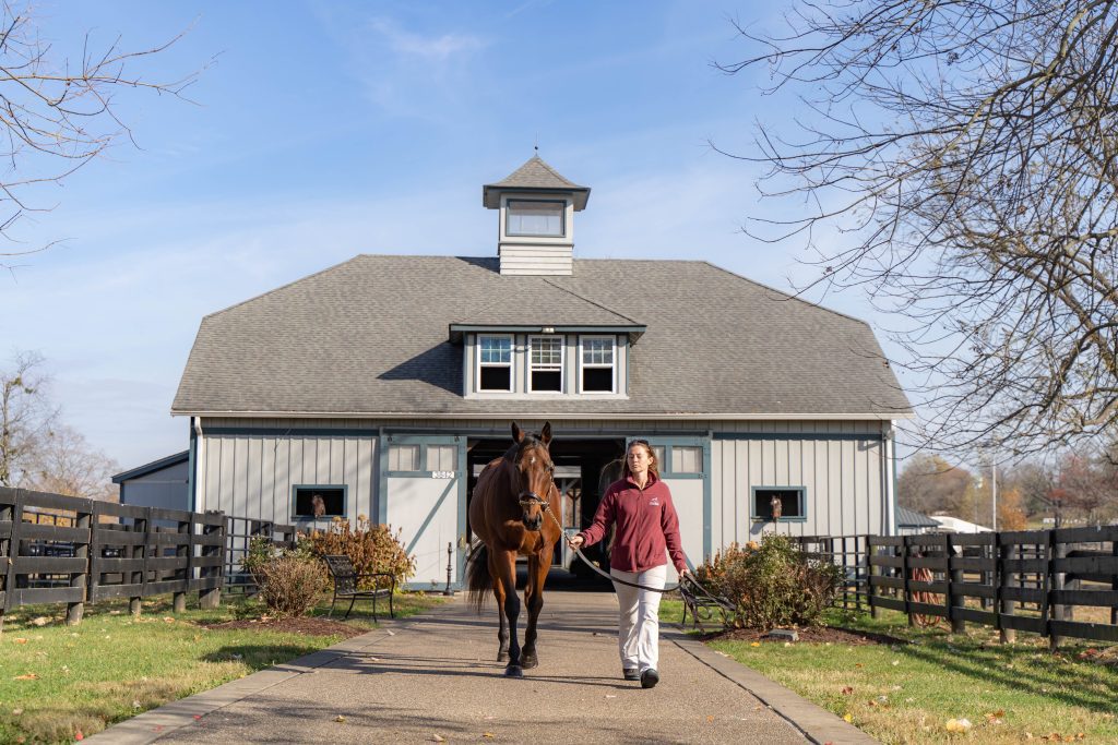 Accelerate Kentucky Horse Park