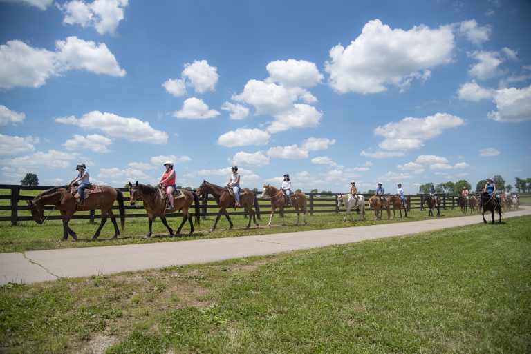 Explore - Kentucky Horse Park