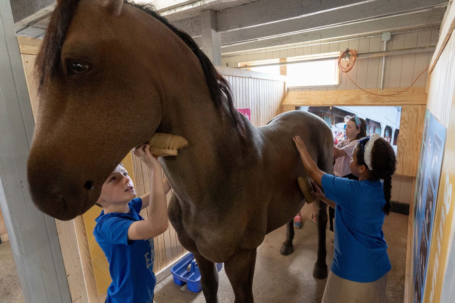 Kids Barn - Kentucky Horse Park