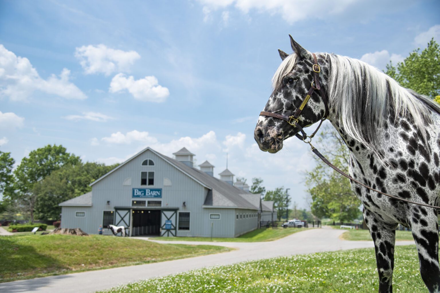 Explore - Kentucky Horse Park
