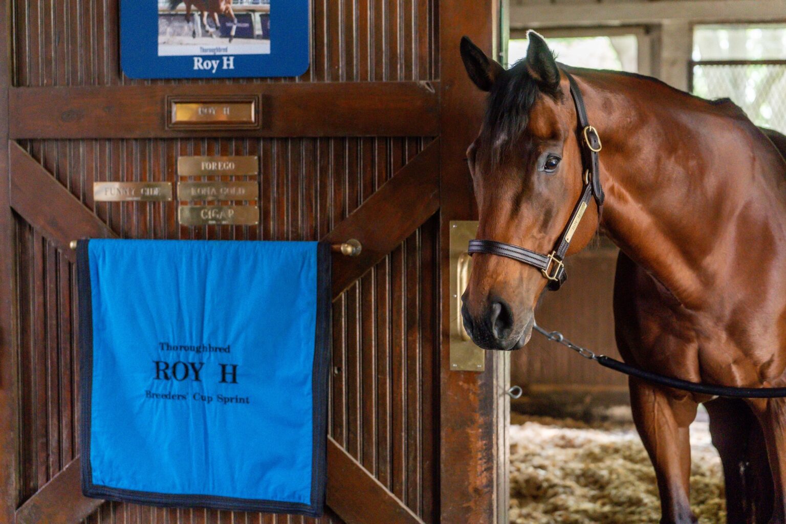 Explore - Kentucky Horse Park