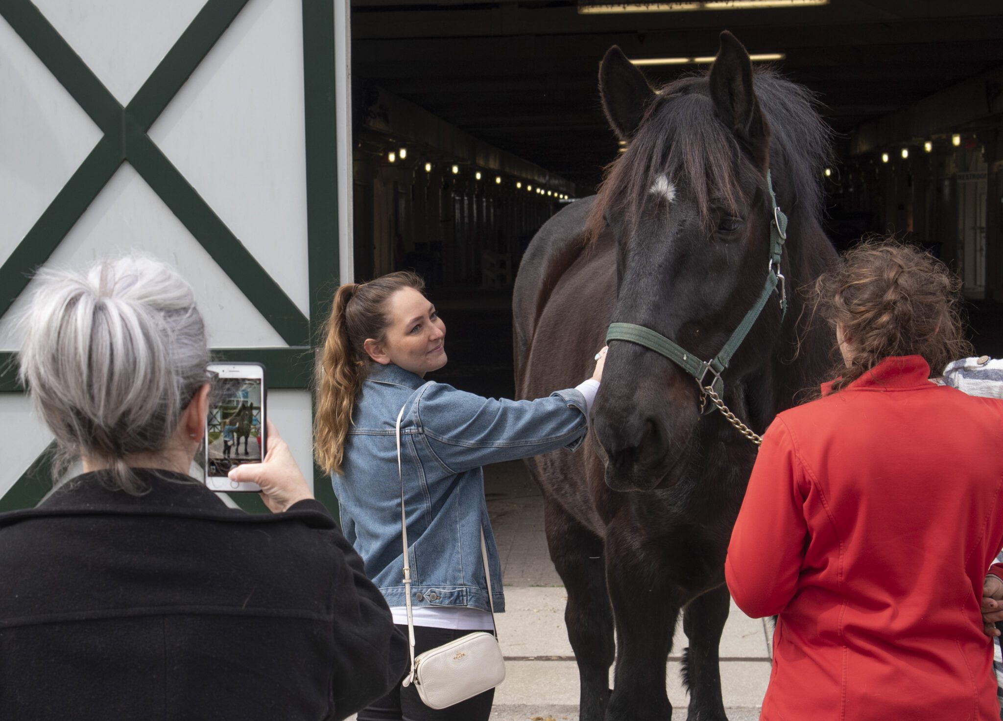 Explore - Kentucky Horse Park