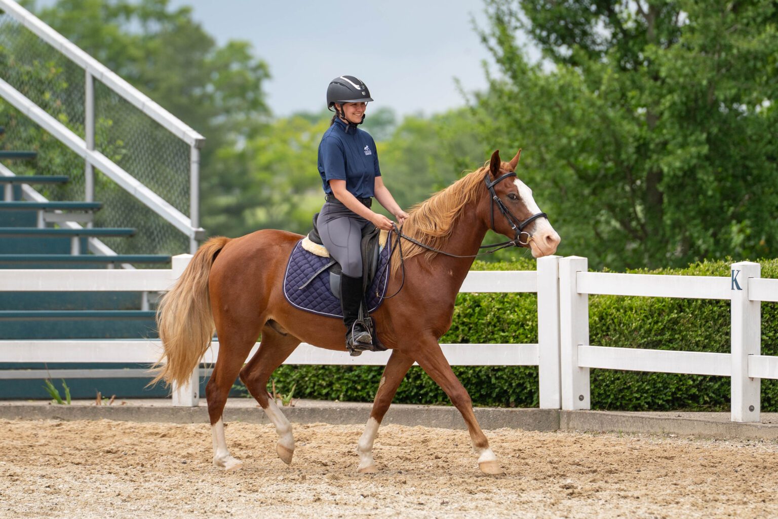 Breeds Barn - Kentucky Horse Park