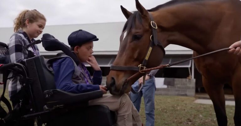 Kentucky Horse Park to Dedicate Monument Honoring Cody's Wish and Cody ...
